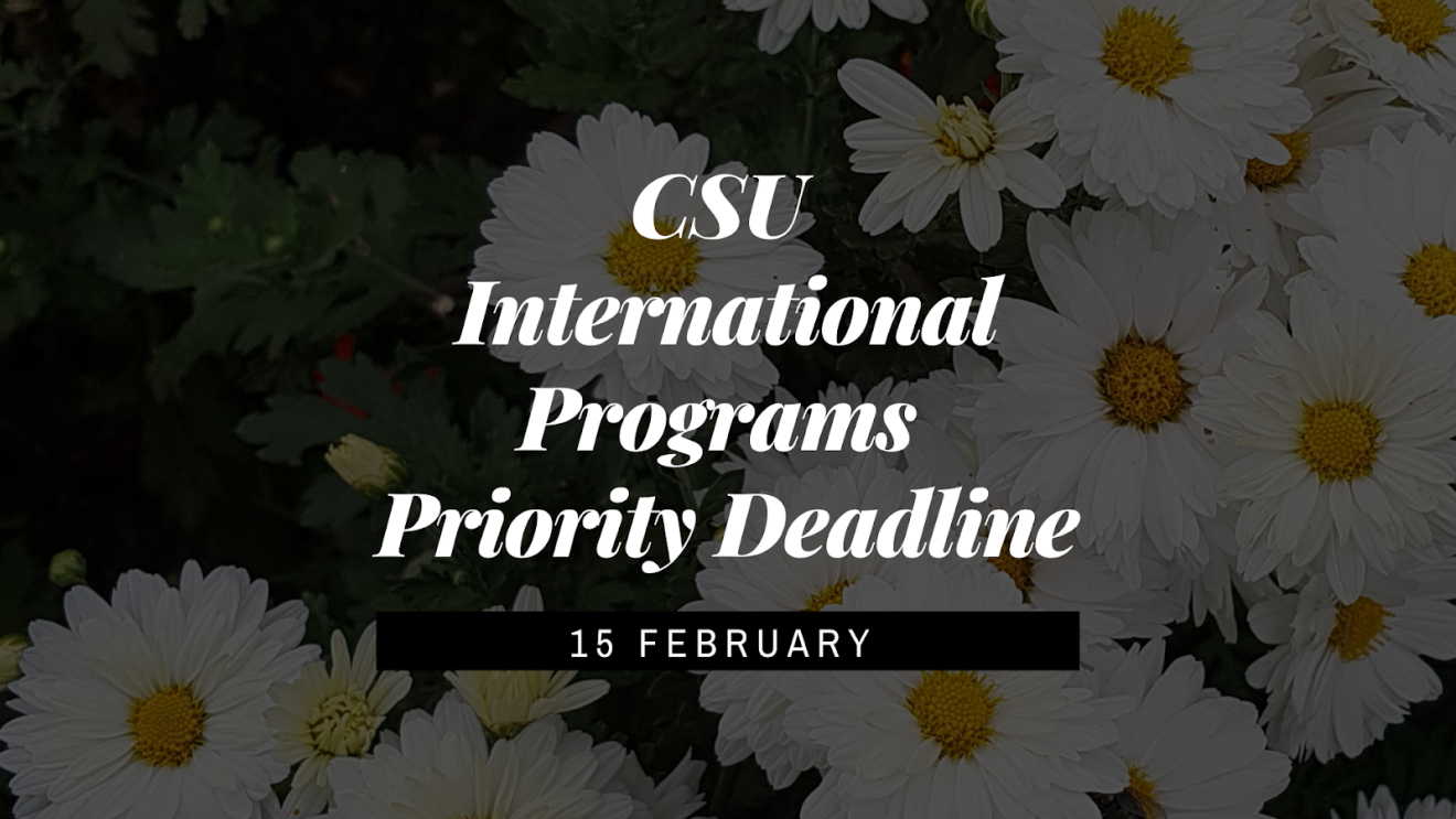 Weekly GEO Bulletin - 2/9/21 | International Education at Sonoma State ...